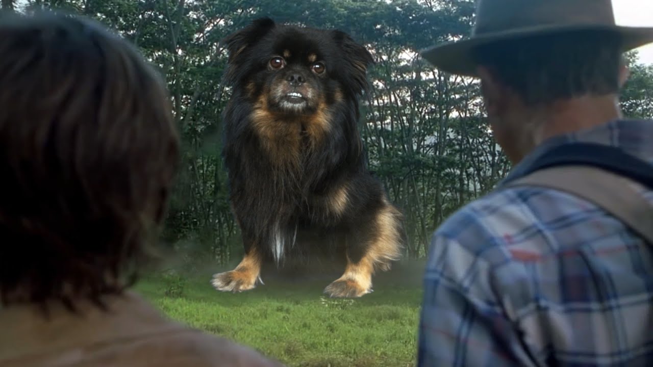 Jurassic Park with a Dog - YouTube