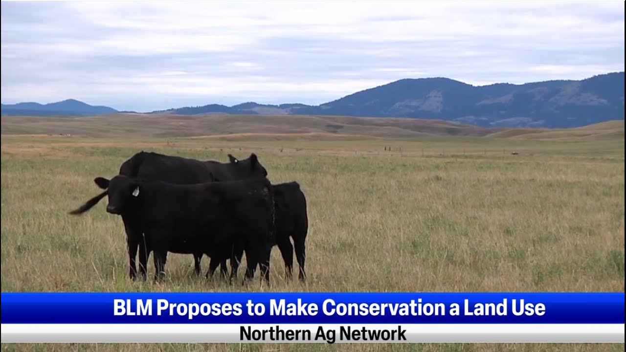 BLM Proposes to Make Conservation a Land Use and Ag Groups Fight ...