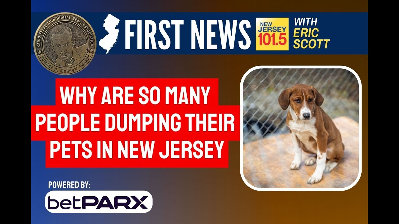 Why are so many people dumping their pets in New Jersey? - YouTube