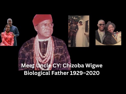 Who exactly is Herbert Wigwe's father-in-law? Meet Chizoba Wigwe ...