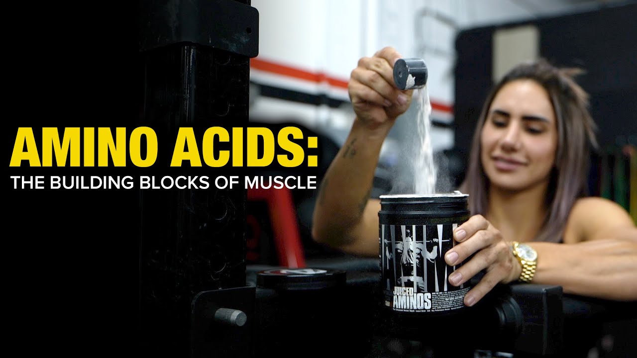 Amino Acids: The Building Blocks of Muscle - YouTube