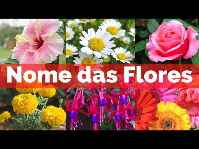 Tipos De Fotos De Flores Com Nomes Cartão De Convite De Casamento Com