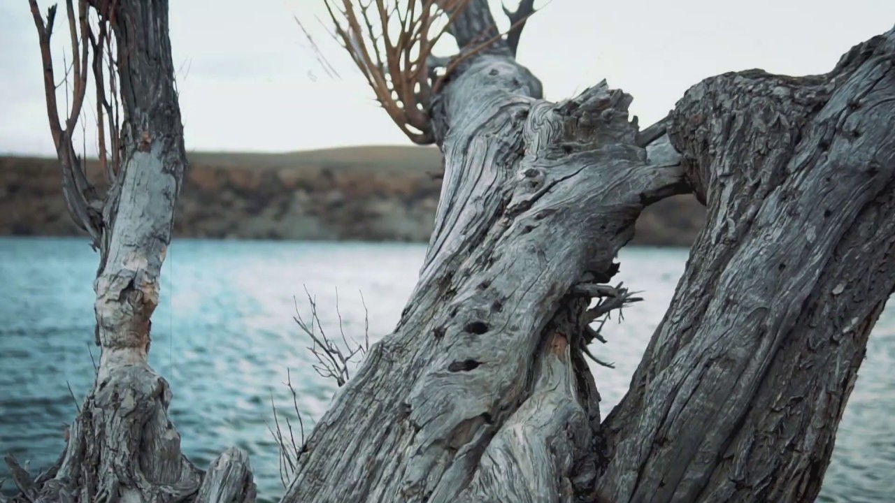 A moment at the Giant Springs, Montana! - YouTube