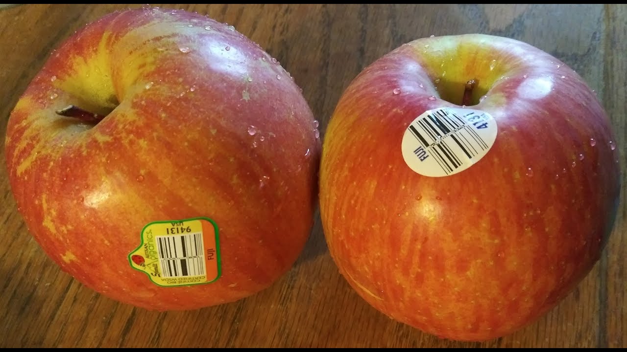 Fuji Apples (Regular vs Organic) Comparison & Review - YouTube