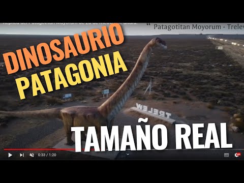 Réplica del Patagotitan Mayorum de 20 de metros de altura.