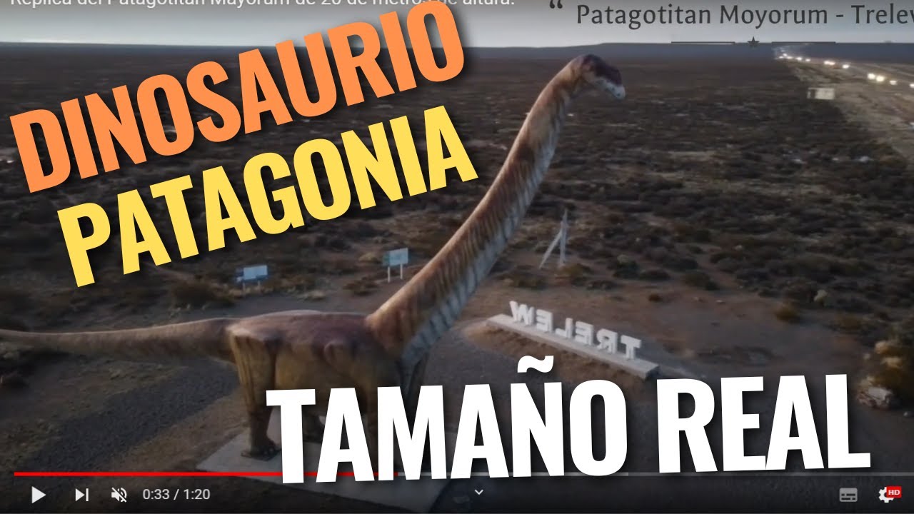 Réplica del Patagotitan Mayorum de 20 de metros de altura. - YouTube