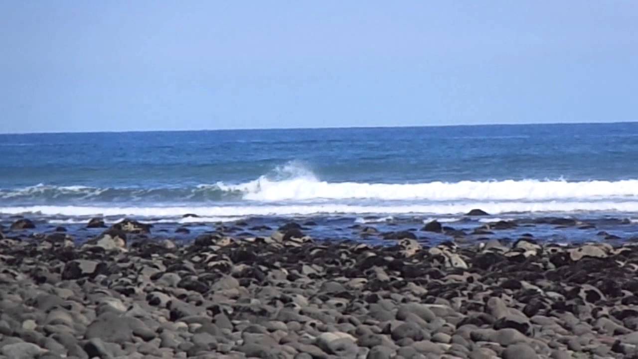 Kumara Patch - YouTube