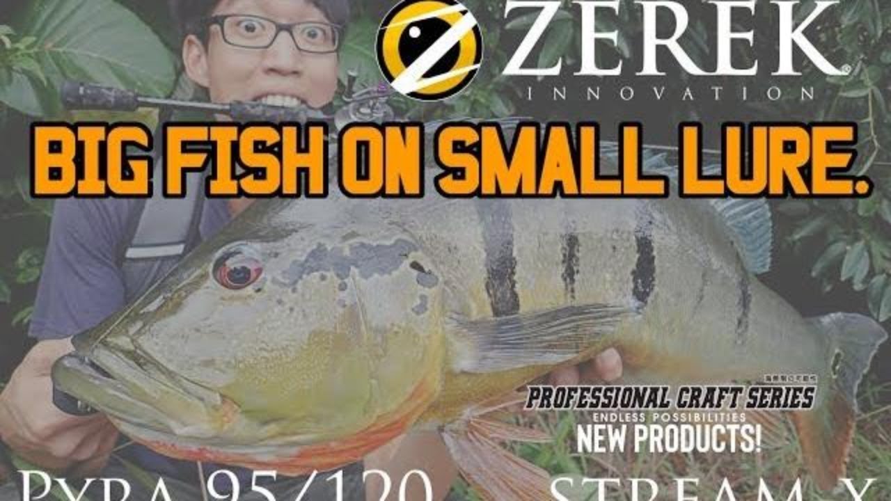 Big Fish VS Small Lure - YouTube