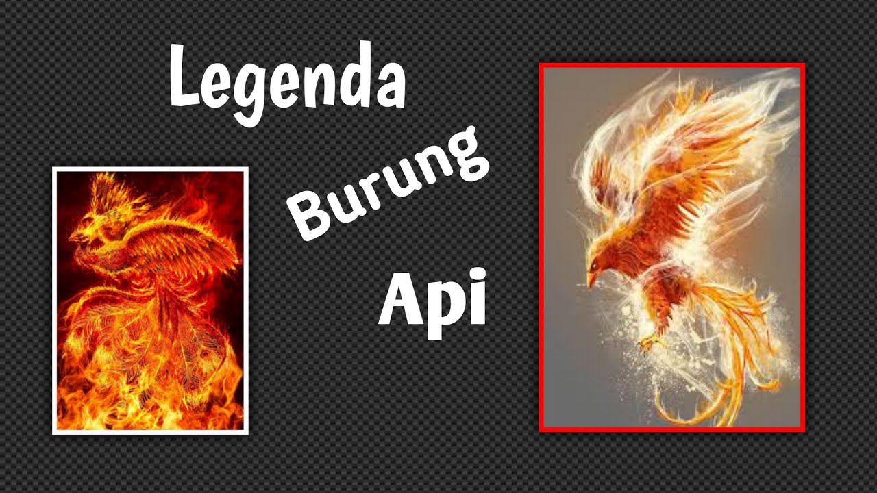Burung Api (Phoenix) - YouTube