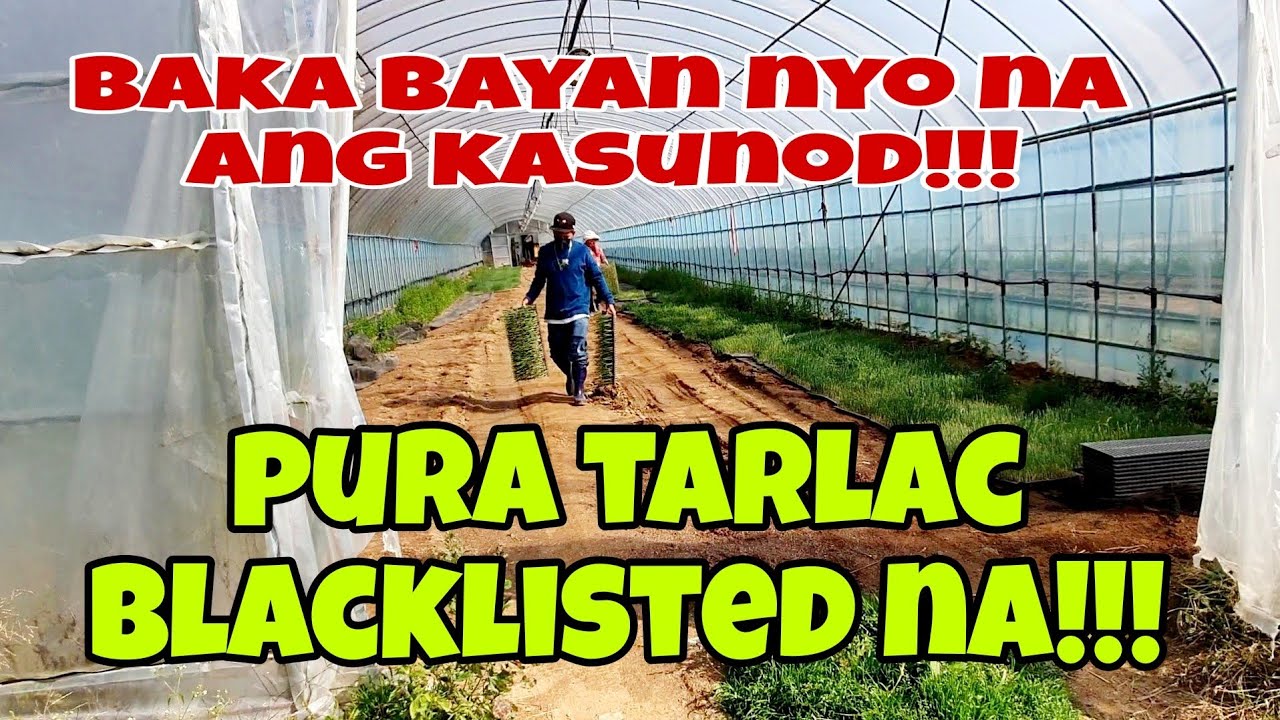 Pura Tarlac Seasonal farm worker Block listed!!! - YouTube