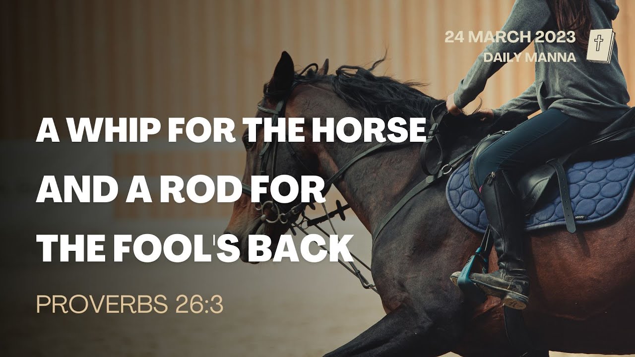Proverbs 26:3 | A Whip For The Horse And A Rod For The Fool's Back ...