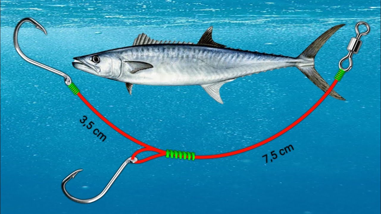 Rangkaian Pancing Paling Ideal untuk memancing Ikan Tengiri‼️ Otodidak7 ...