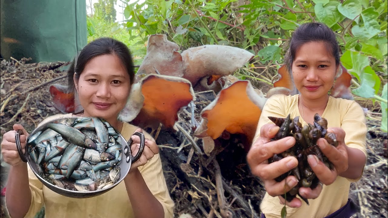 Went to River for Fishing and caught Fish Prawns and snail with ...