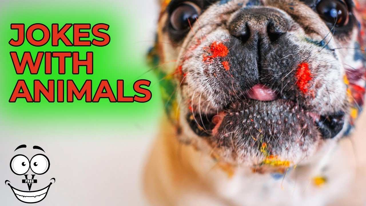 Funny Hunting Moments, Jokes and Failures - The Best Compilation! - YouTube
