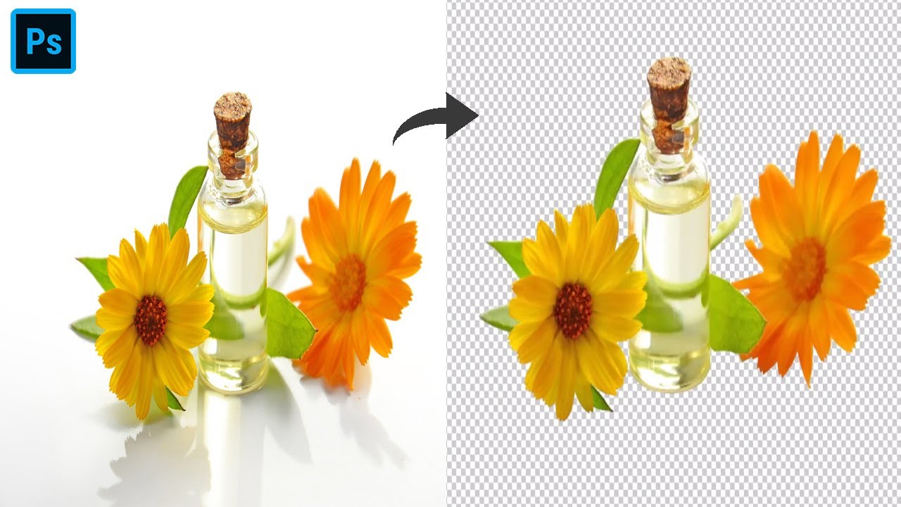 How To Remove Complex Image Background In Photoshop - Clipping Path ...
