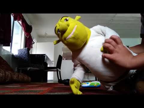 SMA  Pink Yoshi and Shrek switch body's