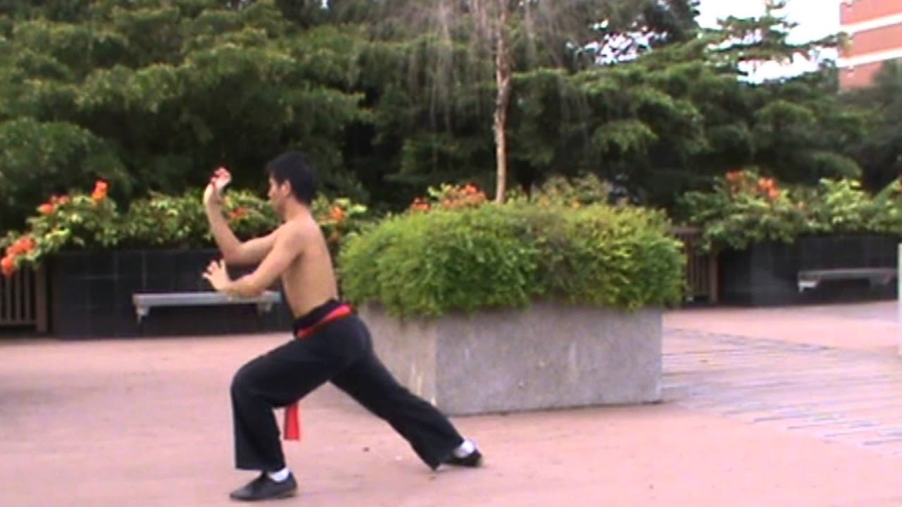 Hung Gar 5-Animals Taming the Tiger Fist (洪家）五形伏虎拳 - YouTube