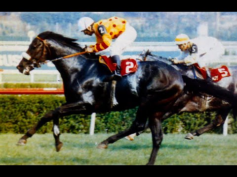 TJK 1988 Gazi Koşusu Şampiyon Top İmage Mümin Çılgın M. Kitapçı Aristocrat Rolls Royce