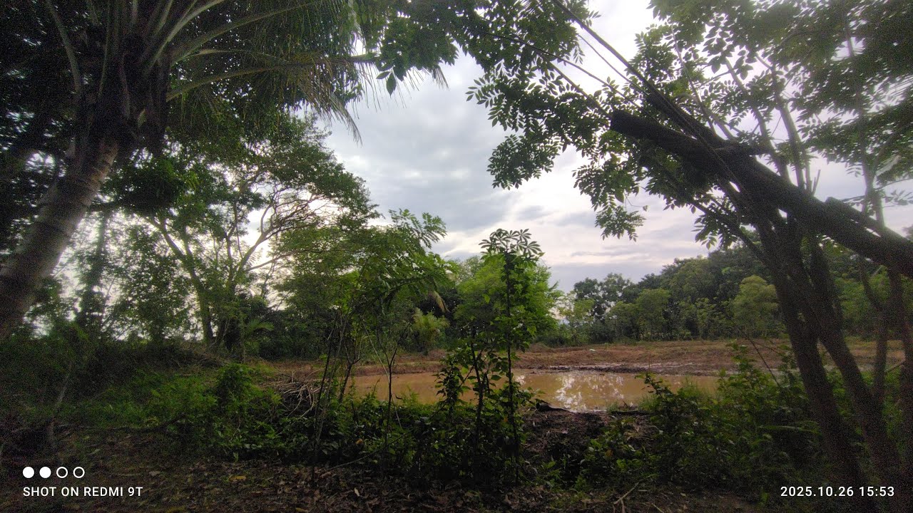 Hasitha Sampath is live - YouTube