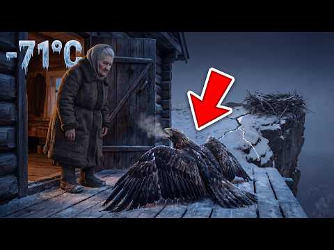 A Golden Eagle Fell at Her Door — But Its Nest Was Breaking Above