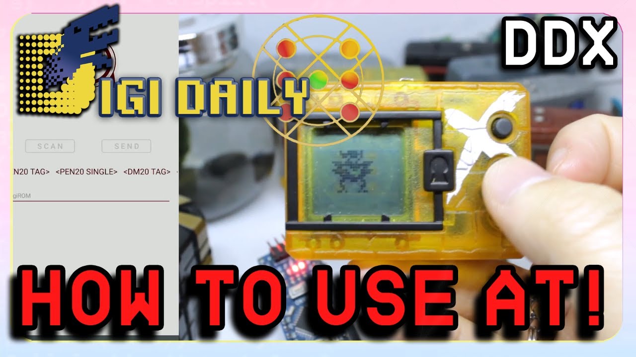 How To Use Alpha Terminal! (DDX) - YouTube