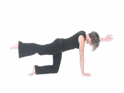Hands and Knees Opposite Arm and Leg Lift - YouTube