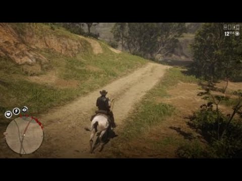 RDR2 i was aiming for the ducks - YouTube