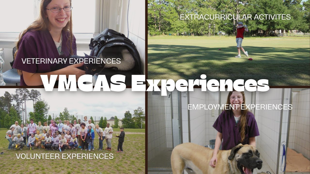 VMCAS Experiences - Animal, Employment, Volunteer, Veterinary, Research ...