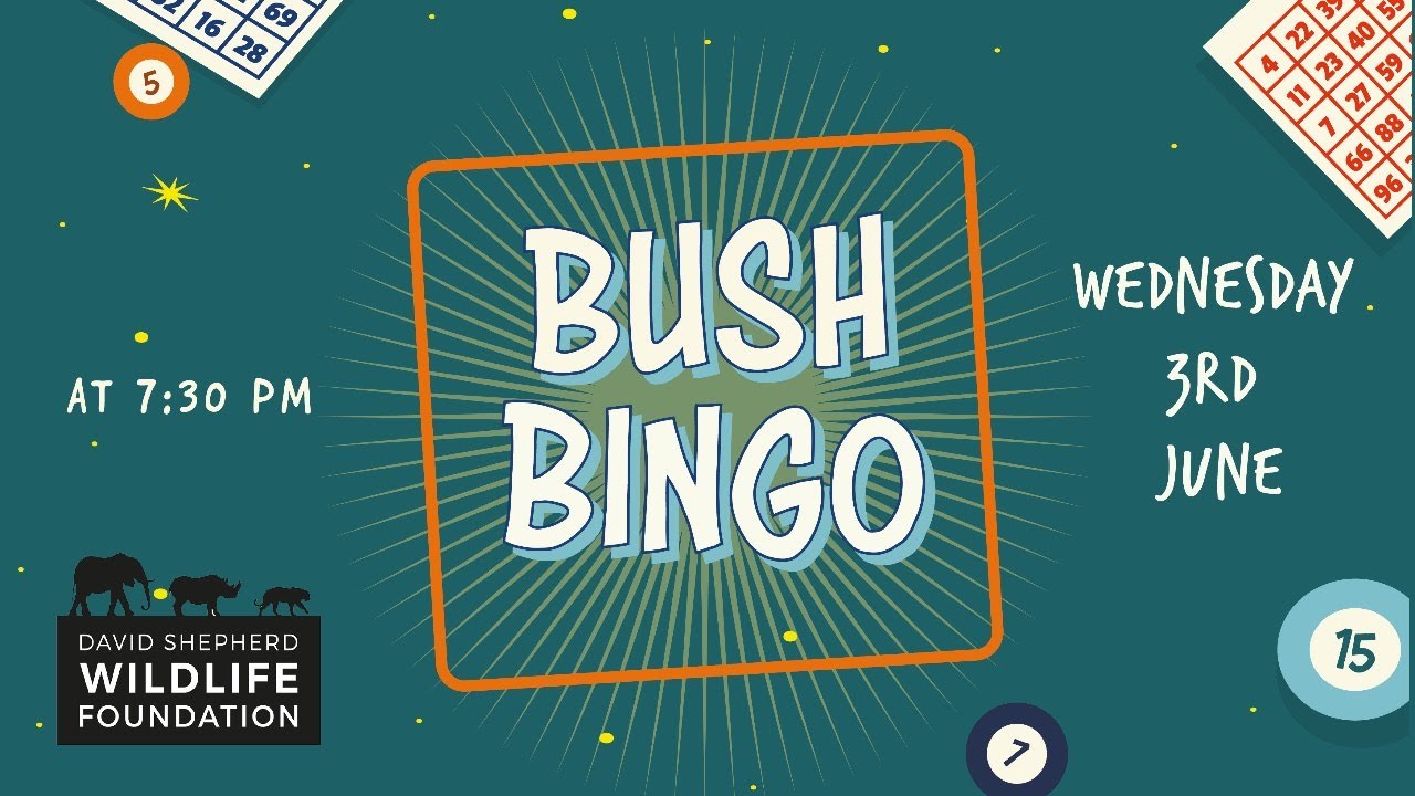 Bush Bingo - YouTube