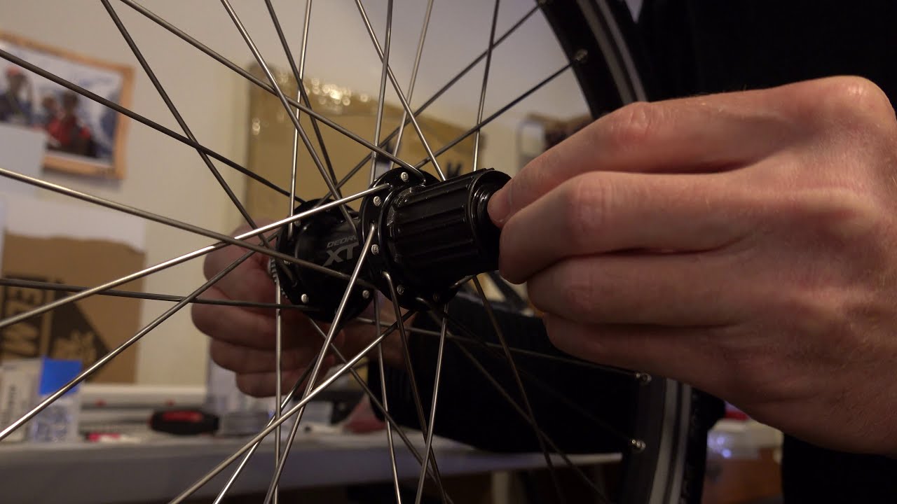 The Right Amount of Play in a Properly Adjusted Cup and Cone Bicycle ...