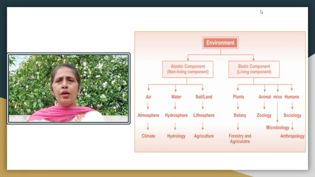 Unit 1 (2(e)) Multidisciplinary nature of Environment Education - YouTube