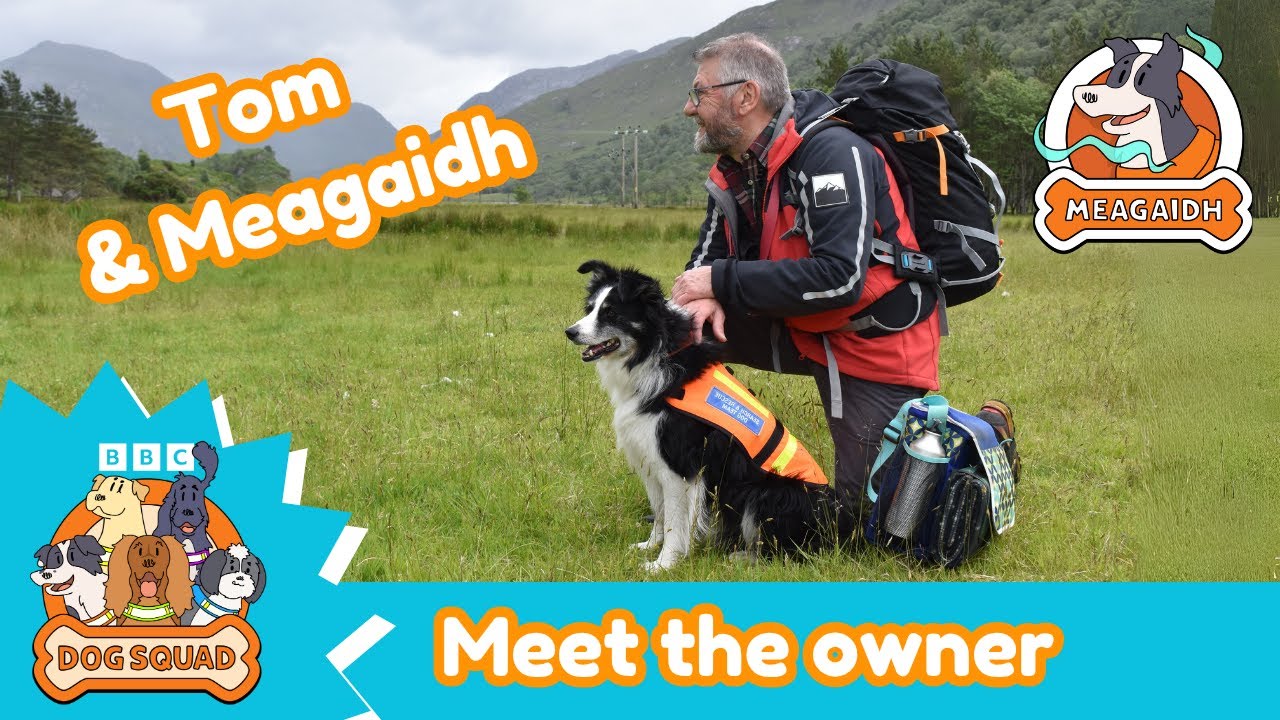 Meet Tom – Meagaidh’s Search & Rescue Partner! | Search and Rescue Dog ...