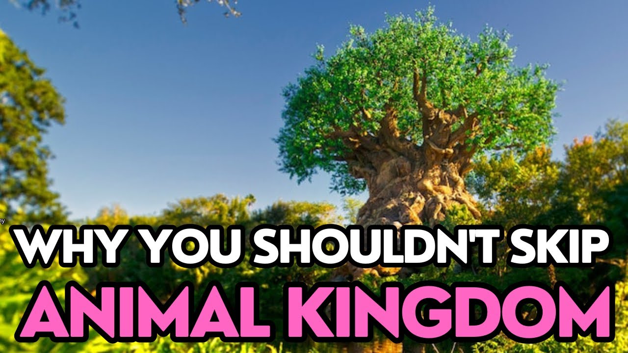 Why you should NEVER skip Disney's Animal Kingdom park! - YouTube