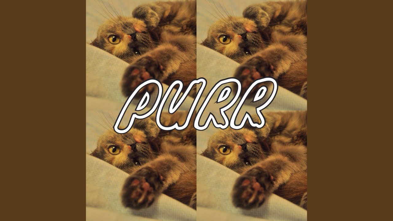 Purr - YouTube