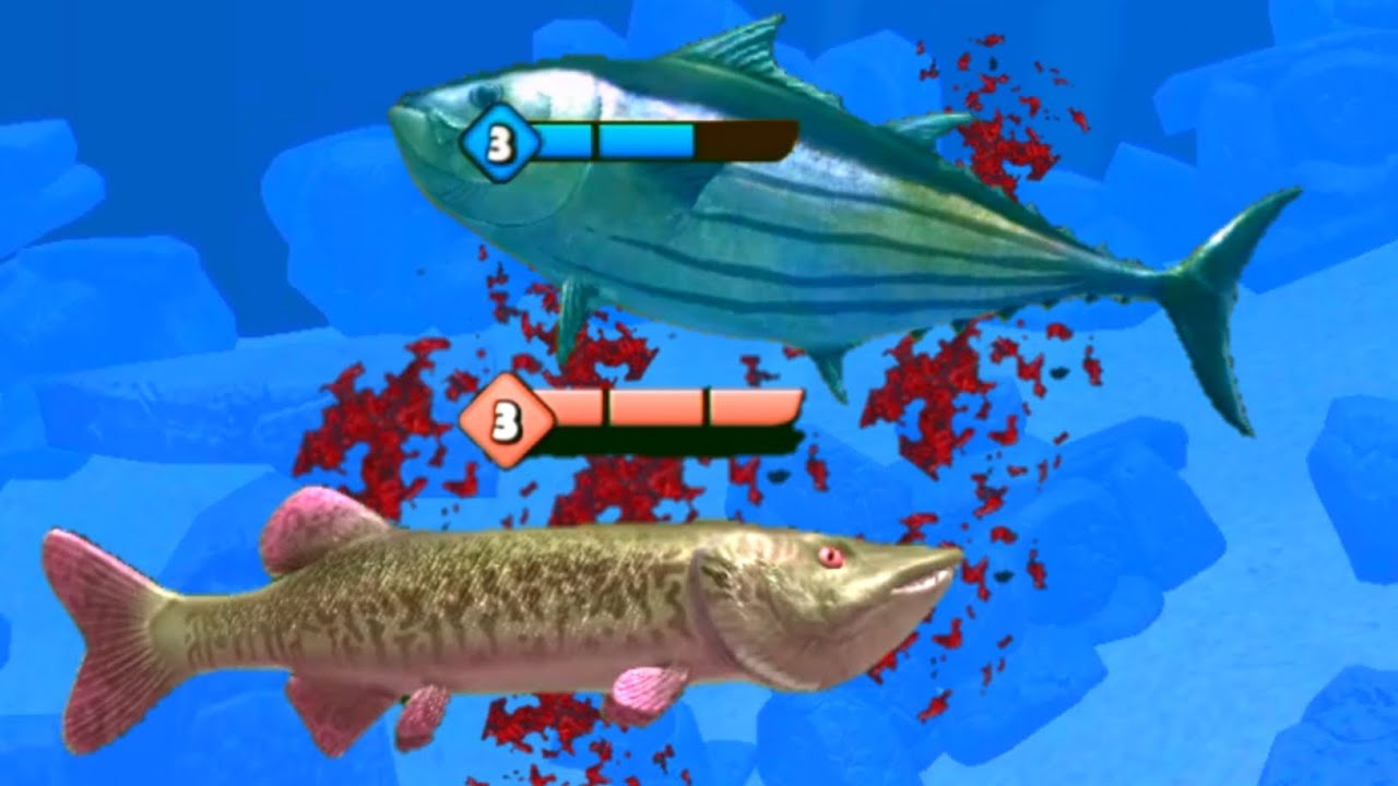 Fishdom New Update Ads Mini Games / Hungry Fish Evolution Games - Fish Game Part 126 Gameplay ...