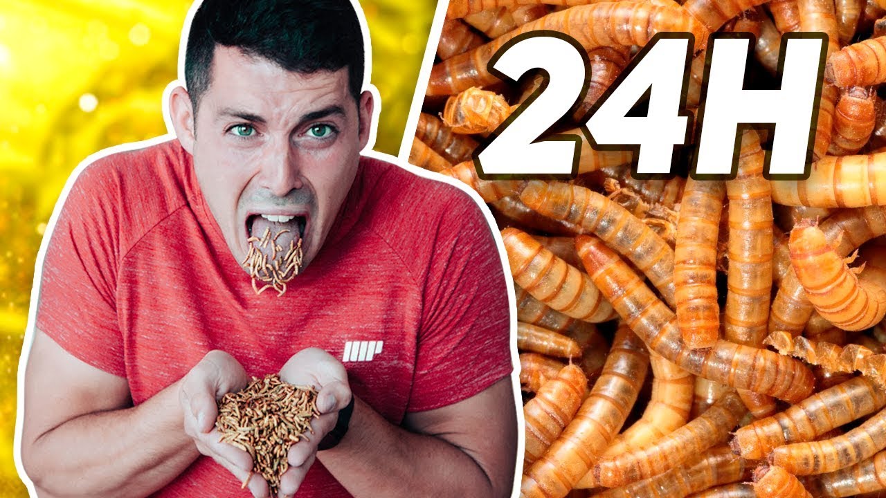 24 HORAS COMIENDO INSECTOS - ¿Son saludables y nutritivos? - Sergio ...