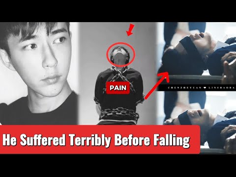 From Stardom to Suffering: The Brutal Pain Yu Menglong Endured Before His Tragic Fall