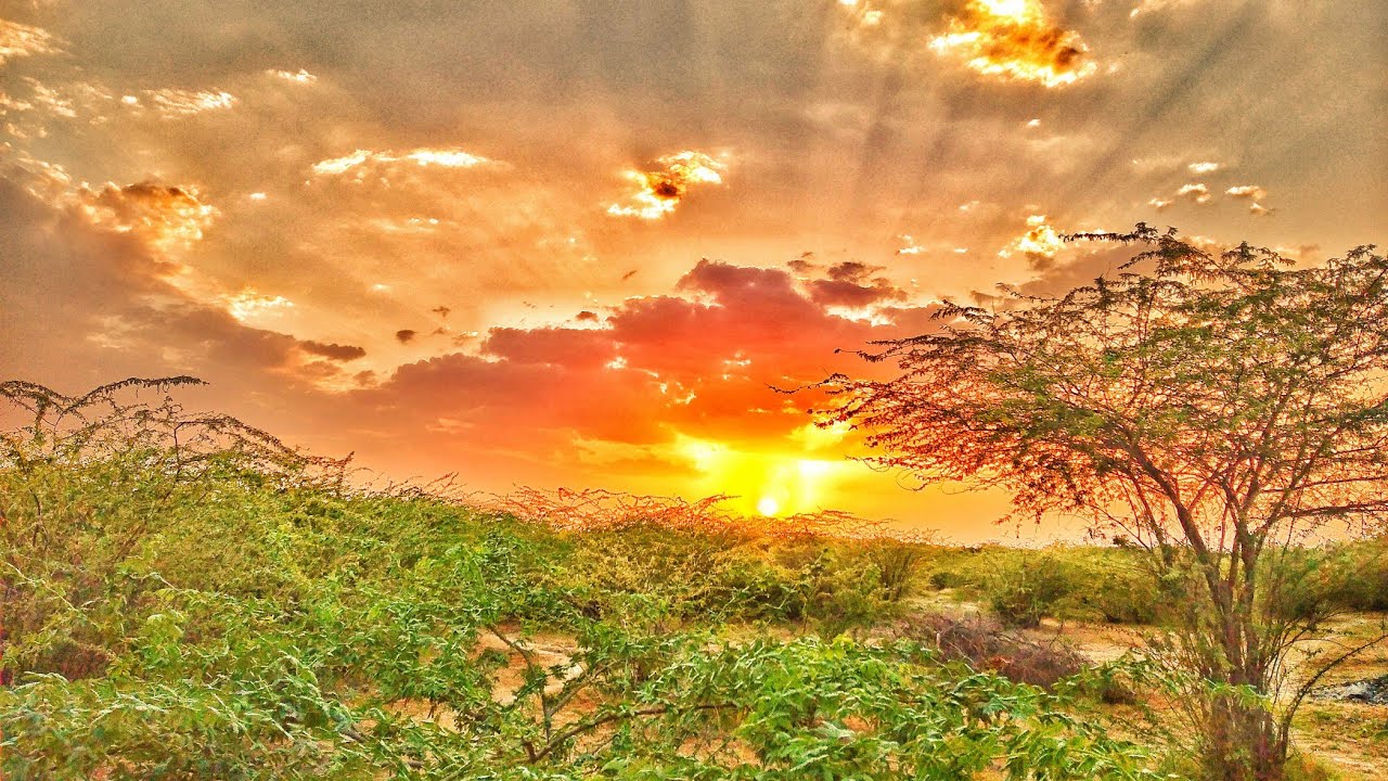 sunset status full screen | evening status for whatsapp full screen ...