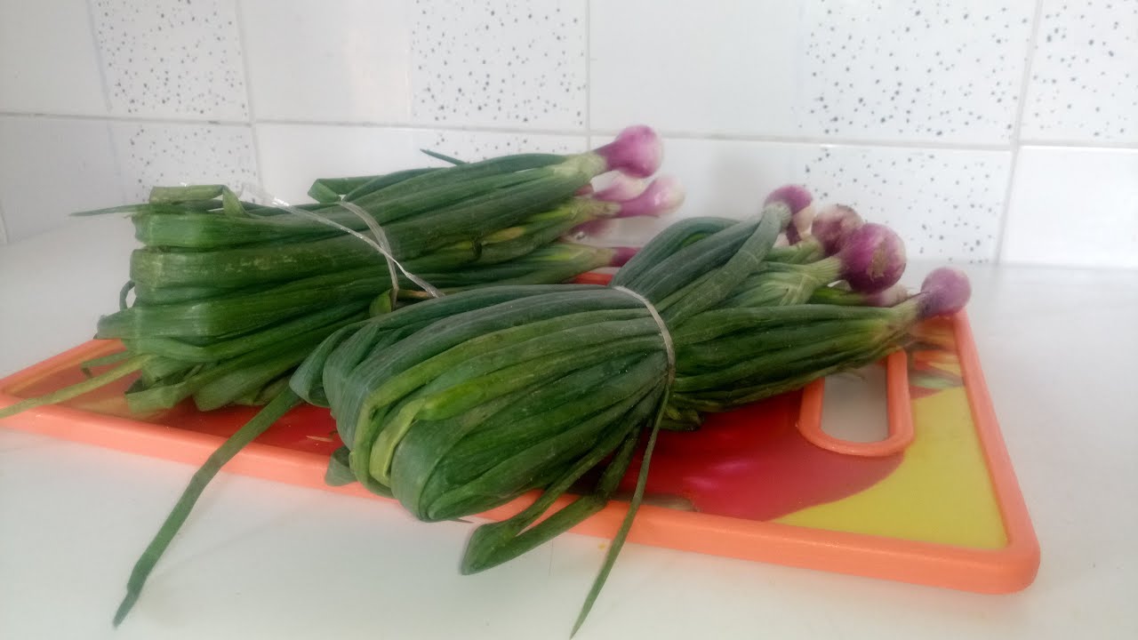 How to Store Scallions for a longer time - YouTube