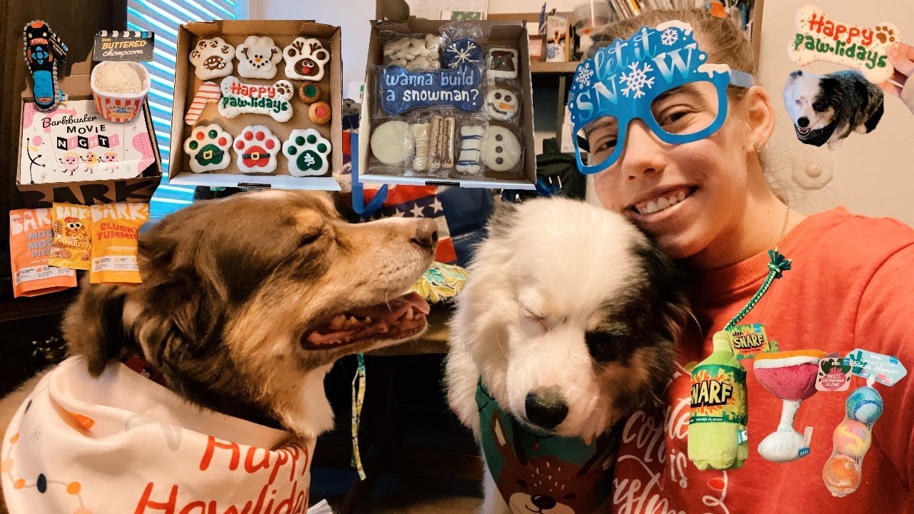 Wanna Build A Snowman and Happy Paw-lidays Wufers Cookie Box ...