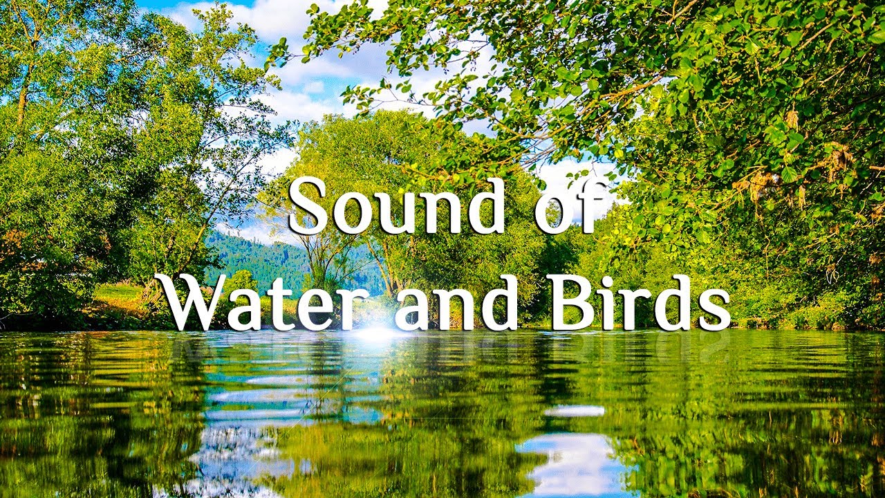 15 min - Amazing River Water with Birds Sound - Relaxing with Noise ...