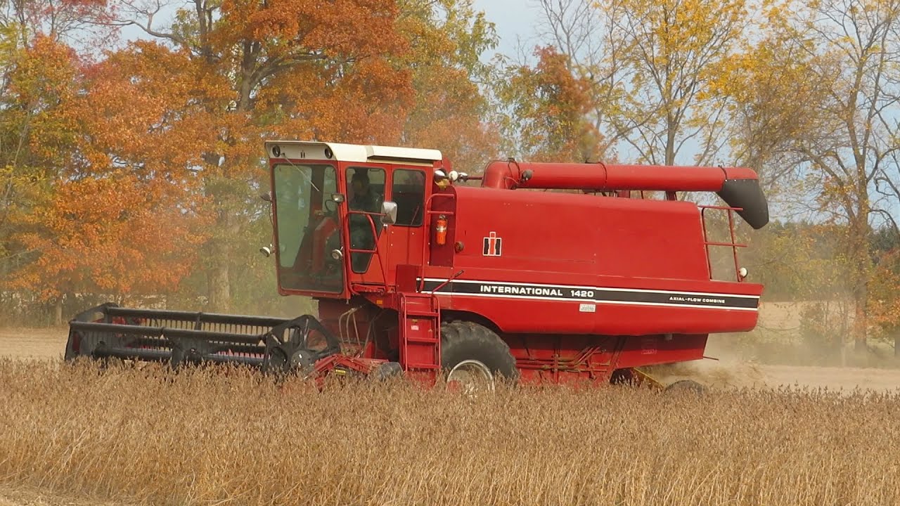 Soybean Harvest 2020 | International 1420 Combine Harvesting Soybeans ...