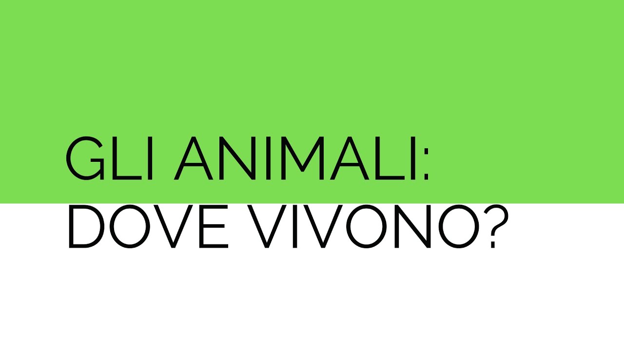 Lezione 04 Scienze: dove vivono gli animali - YouTube