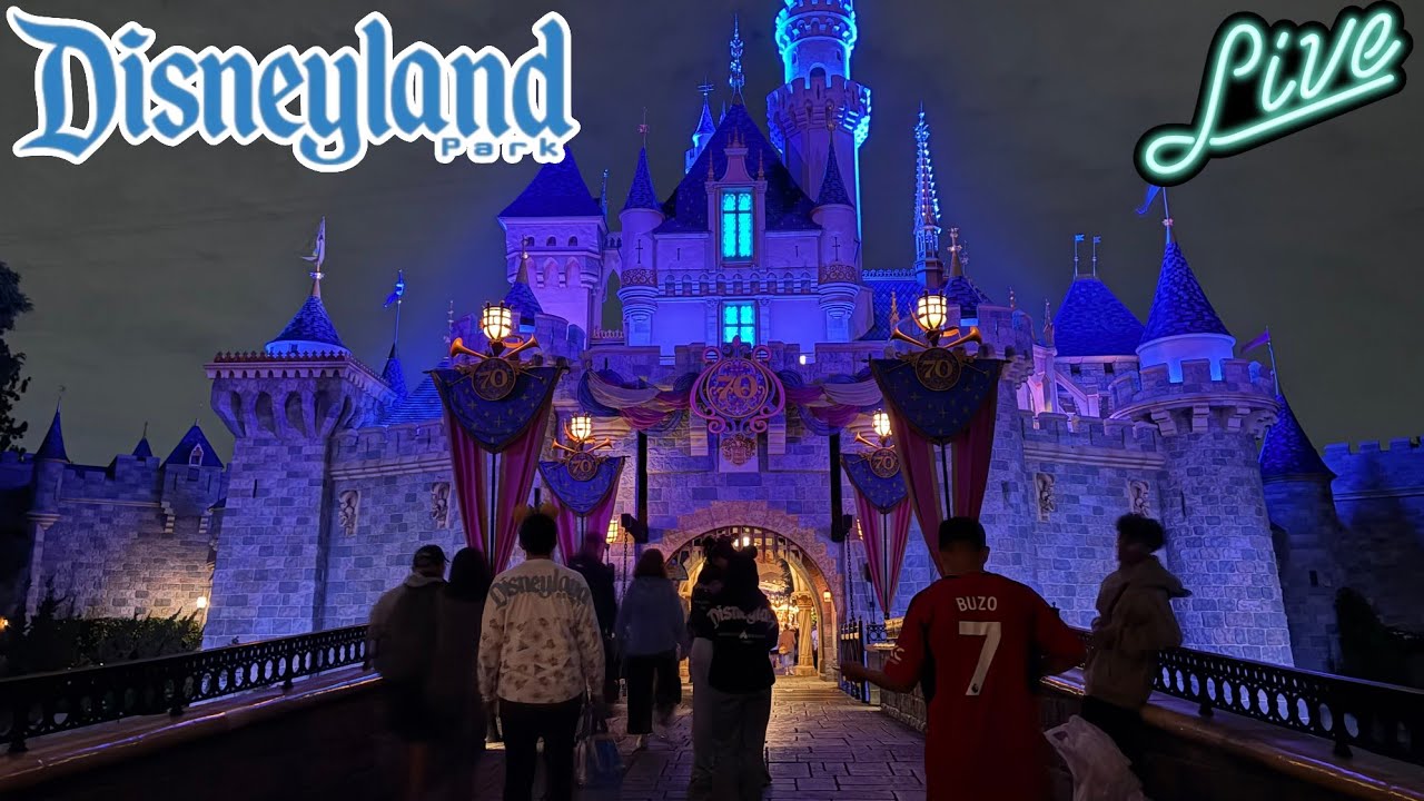Goodbye Disneyland Summer Nights - YouTube