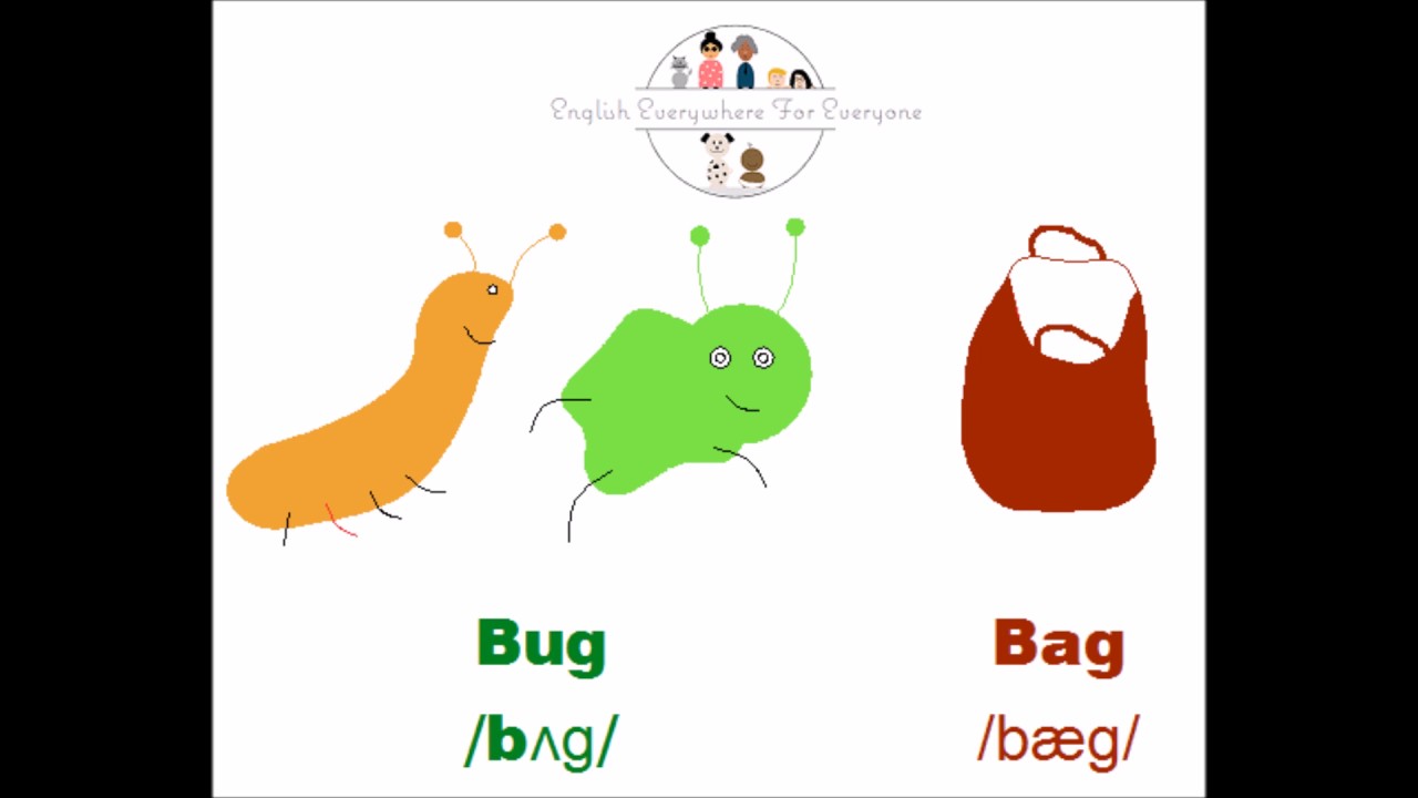 Bug VS bag - YouTube