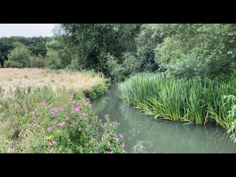 AOAA River Evenlode & River Thames - The Triangle - YouTube