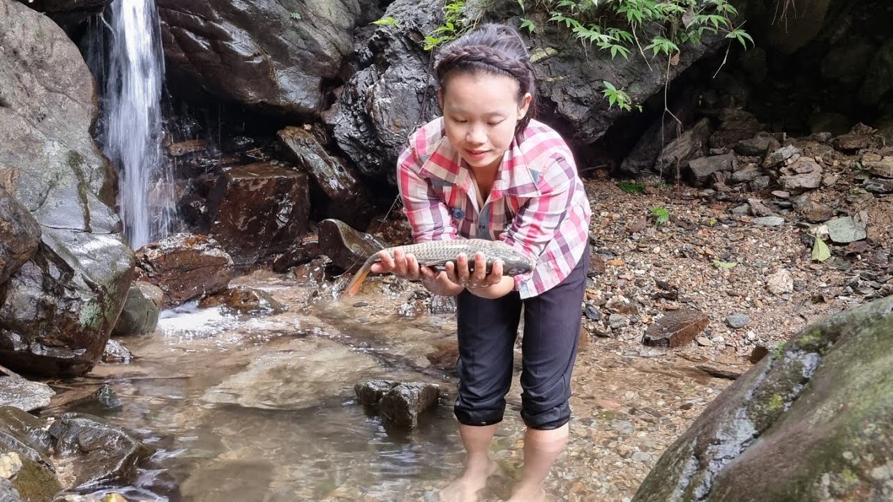 Harvest cassava and stream fishing, farmer's life, Lý Thị Sai - YouTube