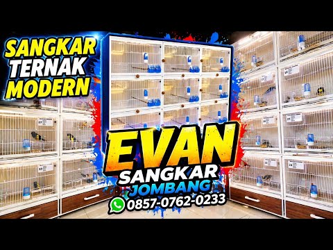 TIPS‼️Sangkar TERNAK MODERN dari EVAN SANGKAR JOMBANG...