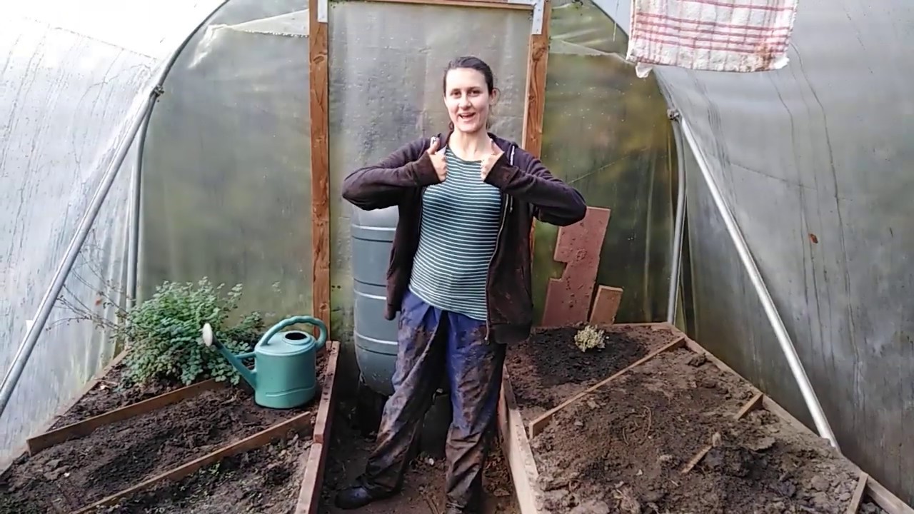 How to Naturally Heat Your Polytunnel Using a Water Butt - YouTube