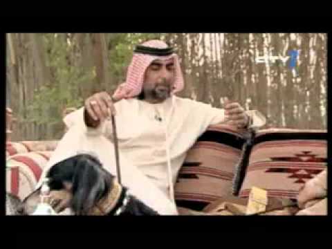 Ask Ali Show, Saluki Episode 3-B - YouTube